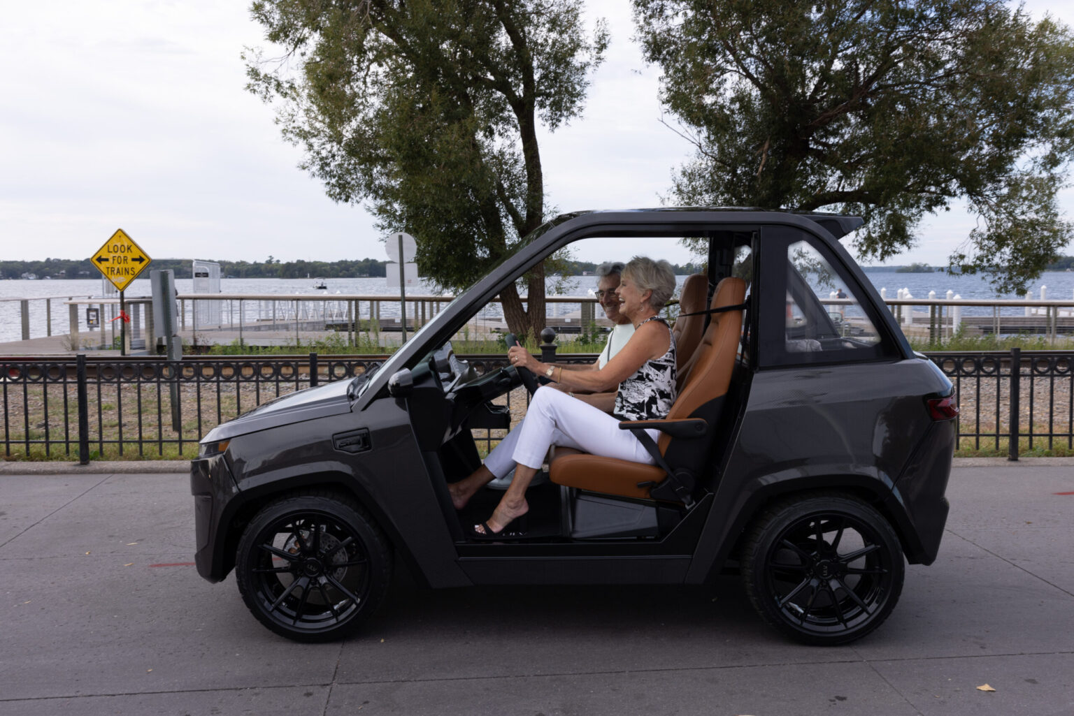 Premium Electric Low-Speed Vehicles | ULV Luxury EVs